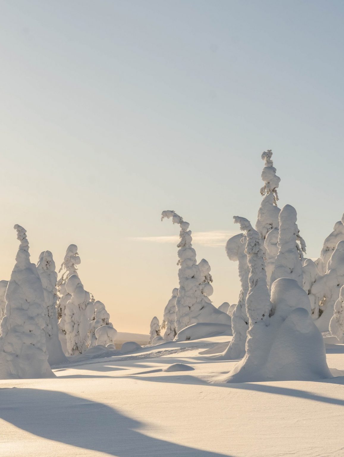 10 jours en Laponie : Guide Pratique - Nos Curieux Voyageurs