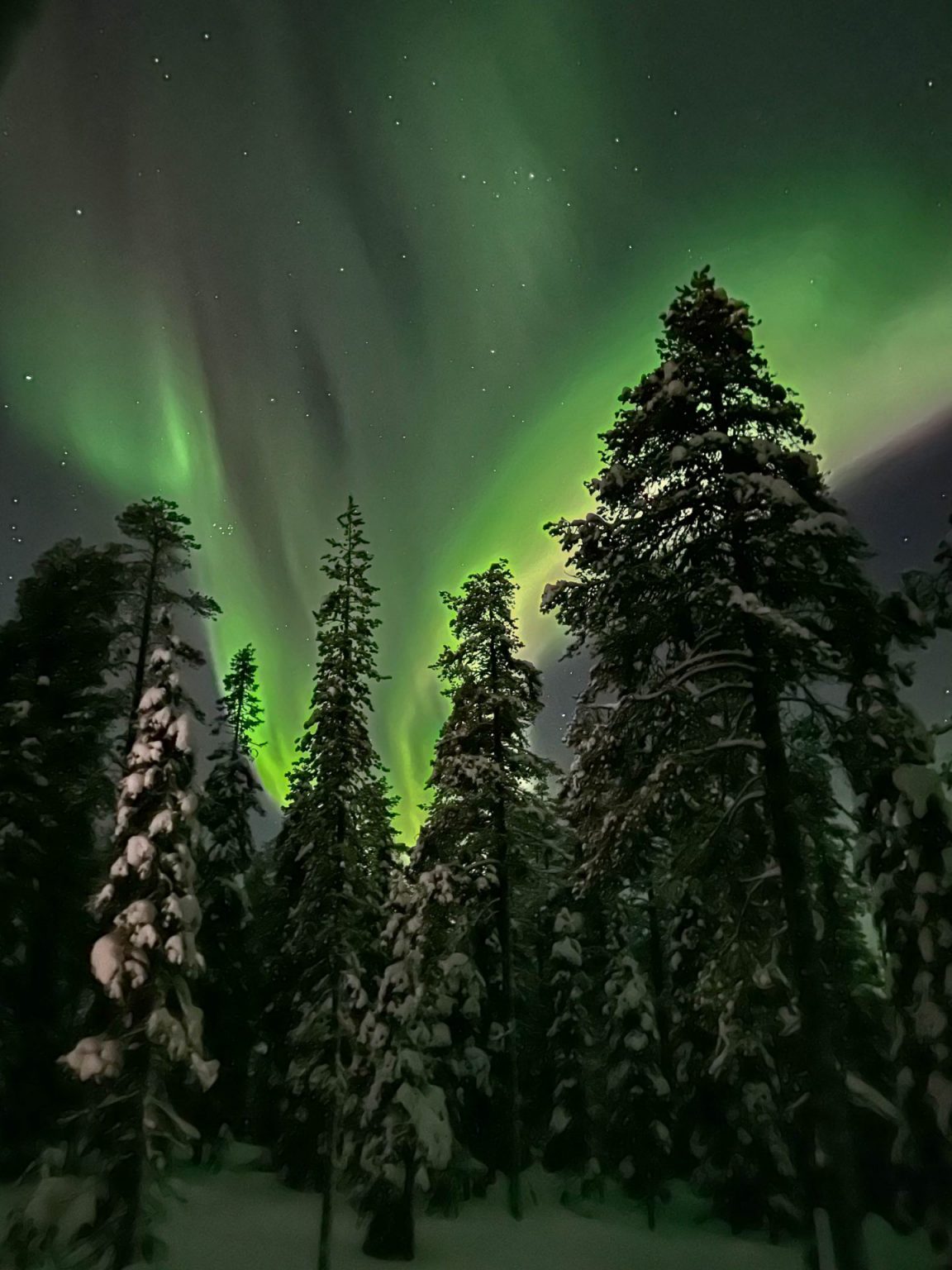 10 jours en Laponie : Guide Pratique - Nos Curieux Voyageurs