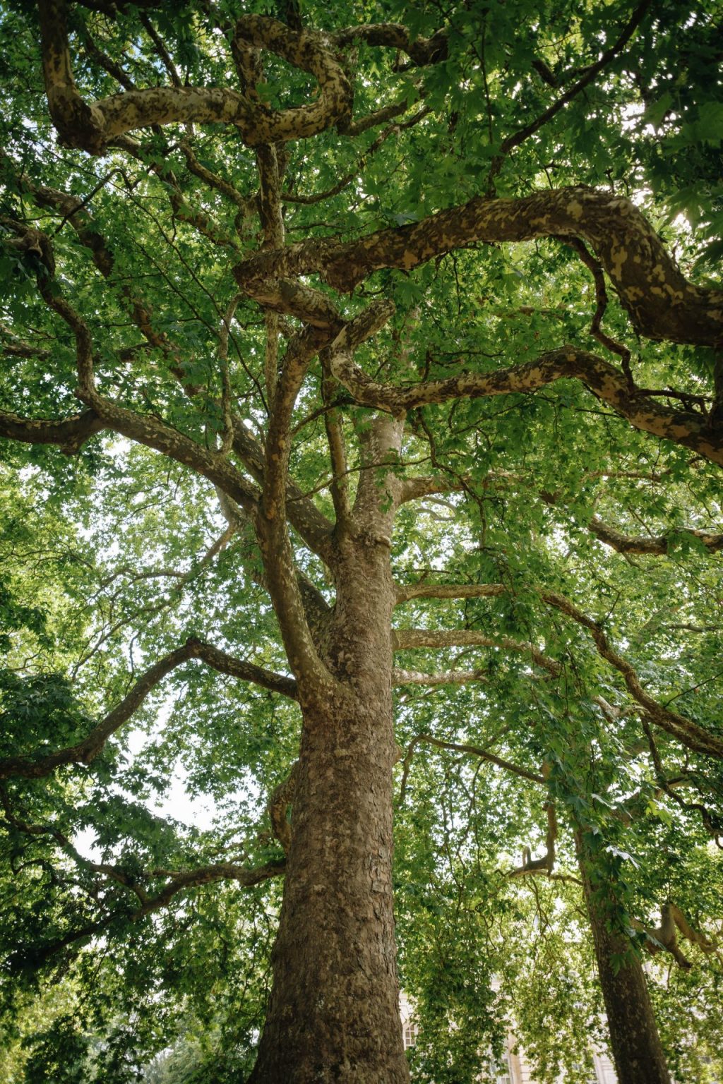 L'Oise en famille : nos incontournables - Nos Curieux Voyageurs